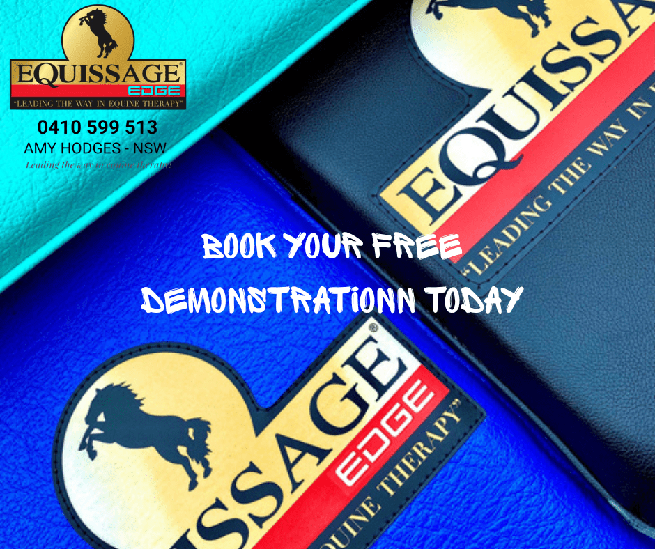 Equissage for Old Injuries & Stiffness | Gentle Support | -3H Equine ...